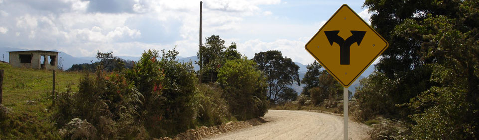 El jardín de senderos que se bifurcan - Cerosetenta