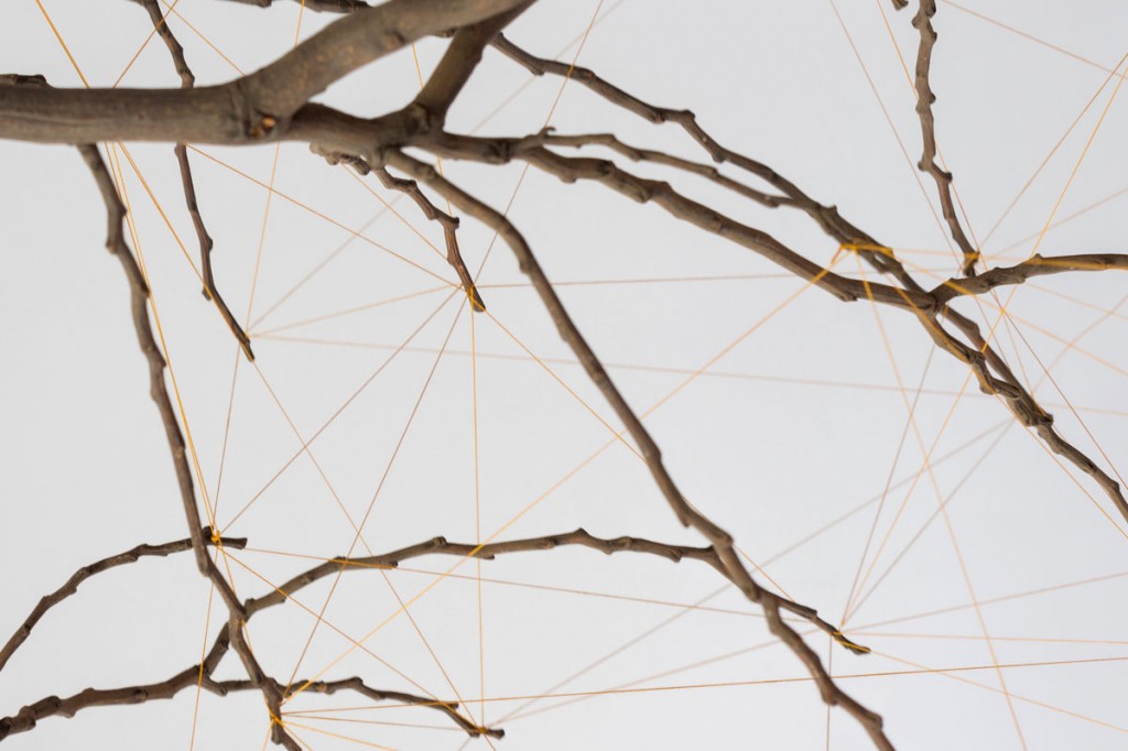 Nicolás Paris y el olor de la tierra mojada - Cerosetenta