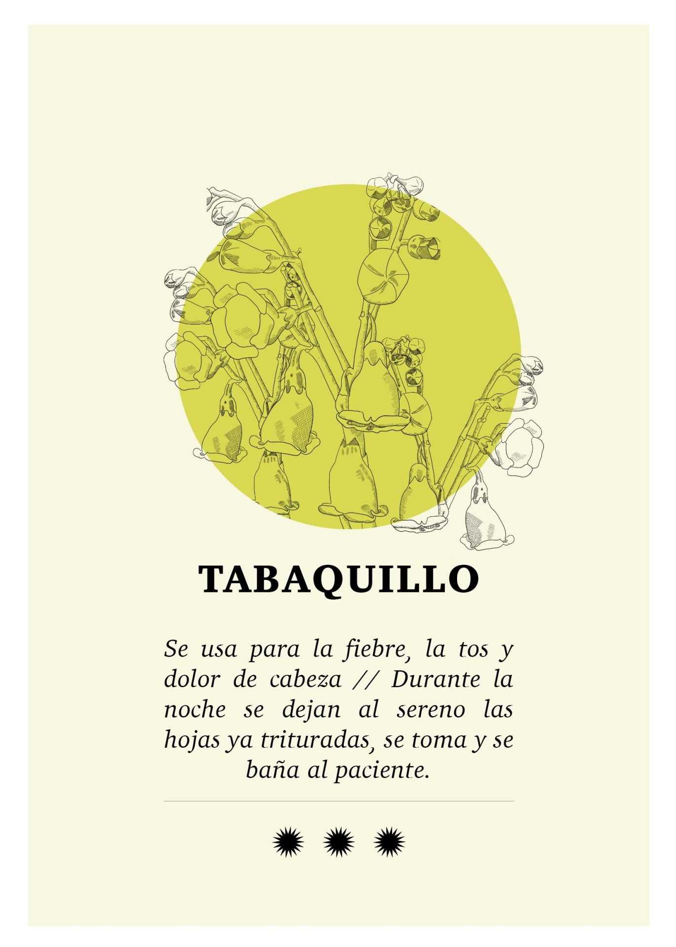 Mowacha noê* - Cerosetenta